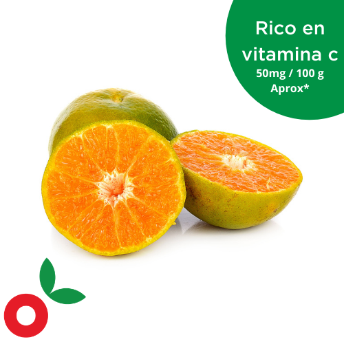 Frutas – Page 4 – Becampo