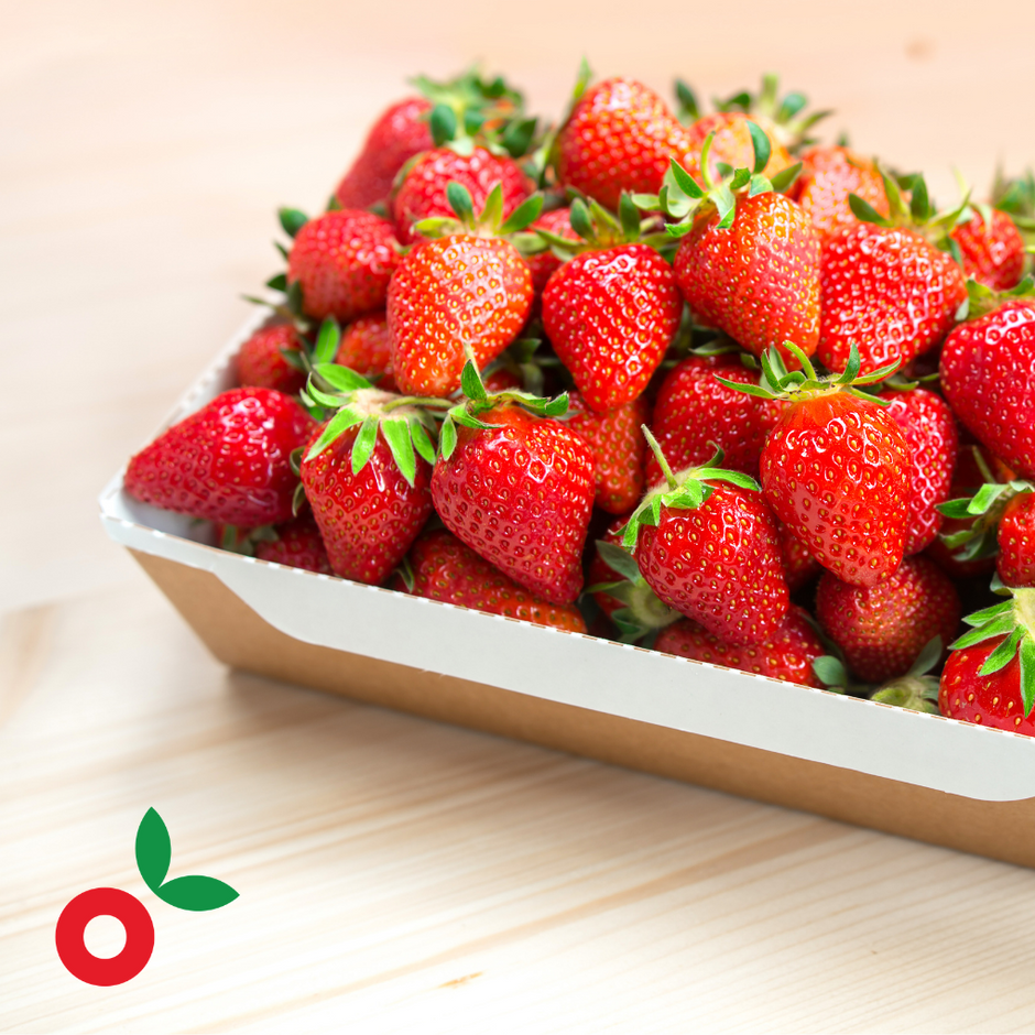 FRUTOS ROJOS – Becampo